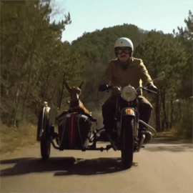 Goat cheeses and recipe ideas | Soignon