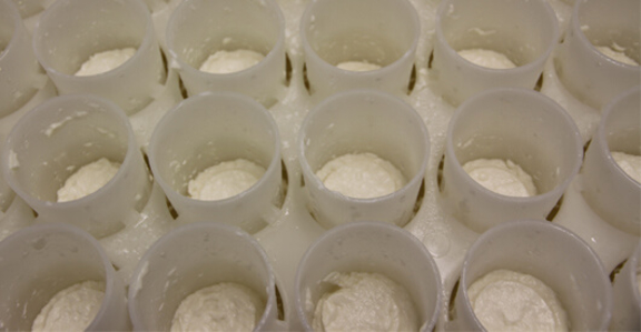 How to make a good goat cheese? | Soignon