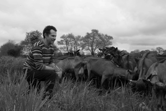 Goat cheeses and recipe ideas | Soignon